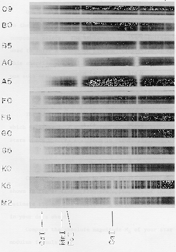 Spectral Classification Lab